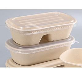 Bio Container– Kitchen Supercenter